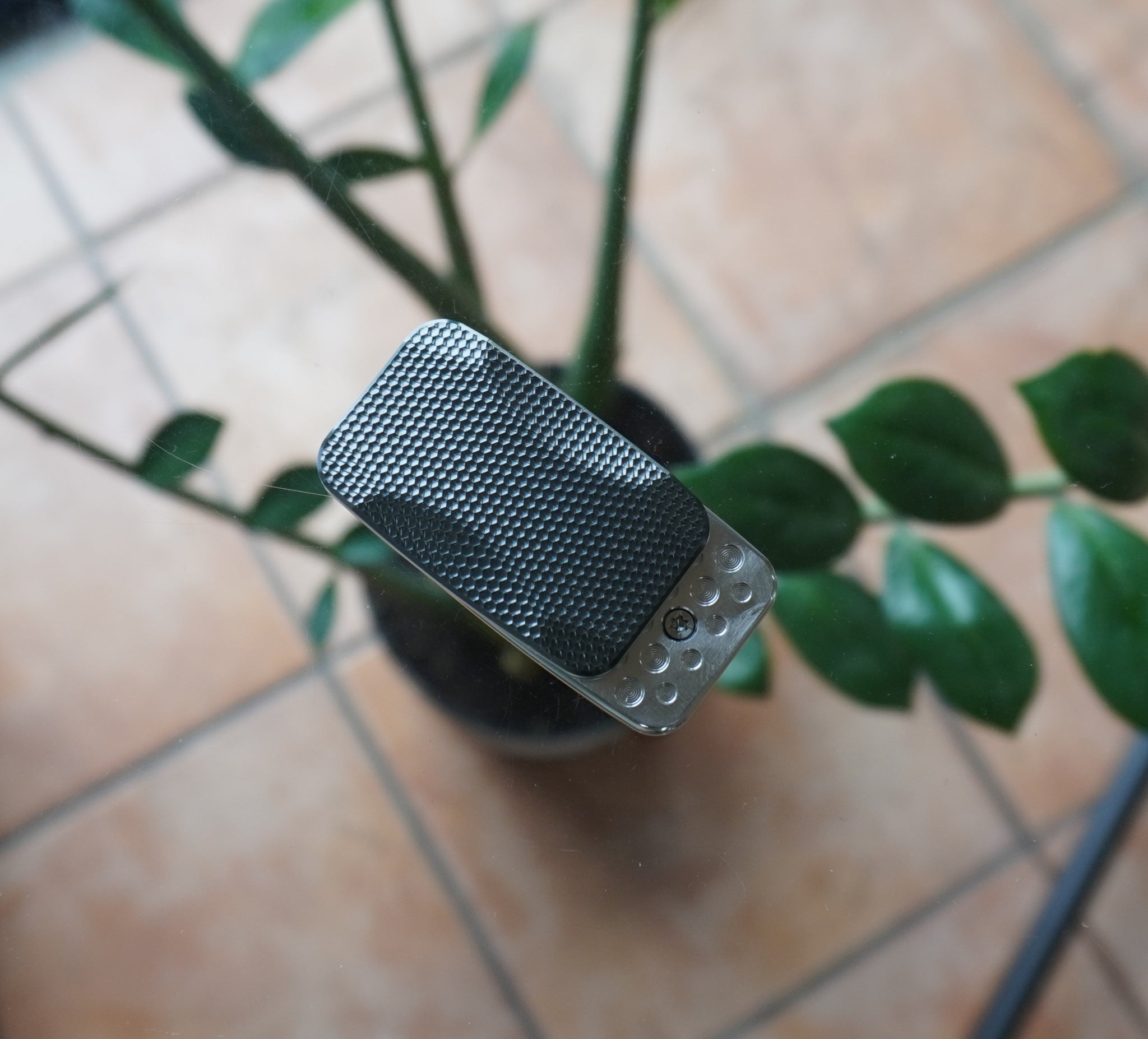 Zirconium - SE254 - Squashed Toad - 3-Click – Magnus Store