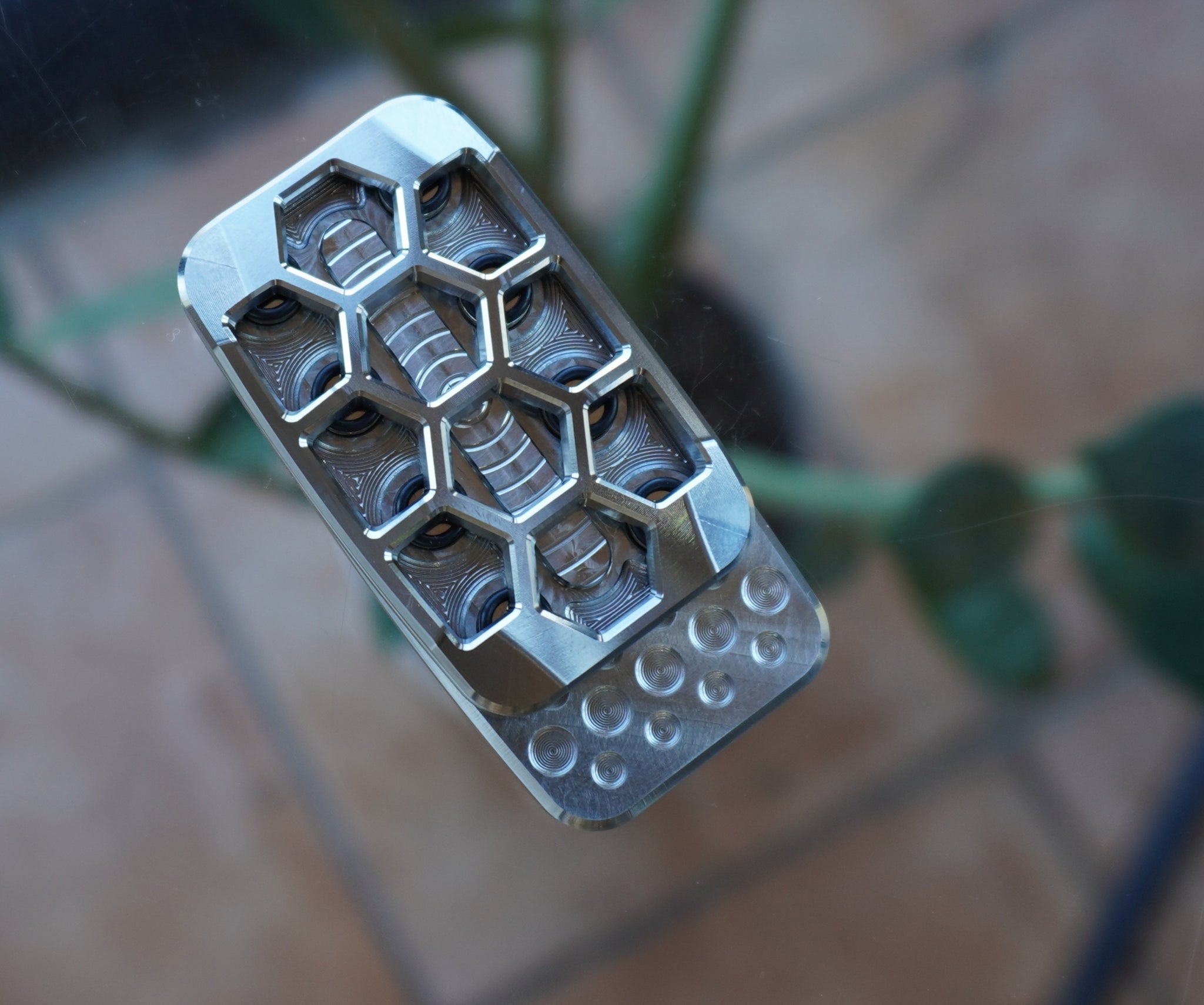 Titanium - SE149 - Squashed Toad "Skelly Hex" - 3-Click – Magnus Store